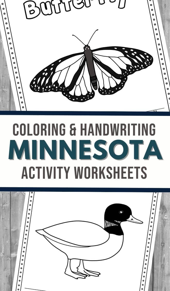 Free USA State of Minnesota Activity Printables | Free Homeschool Deals