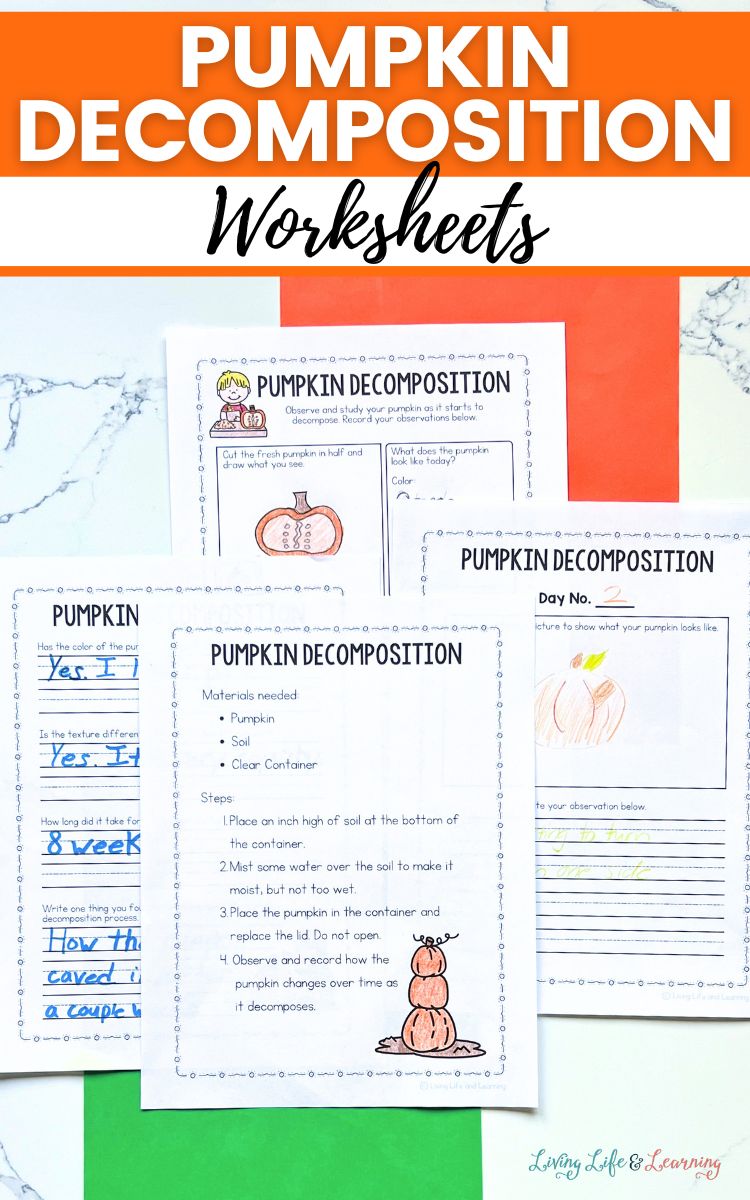 Science Pumpkin Decomposition Process Printables | Free Homeschool Deals