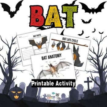 Bat Anatomy and Facts Study Printables | Free Homeschool Deals