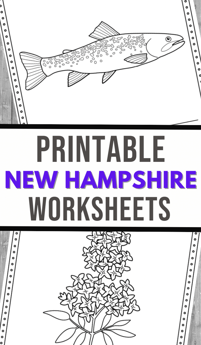 State of New Hampshire Activity Printables | Free Homeschool Deals