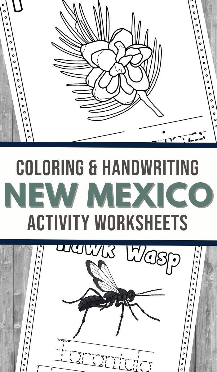 Mexico Worksheets New Mexico Map Blank Outline Map, 16 By 20 Inches,