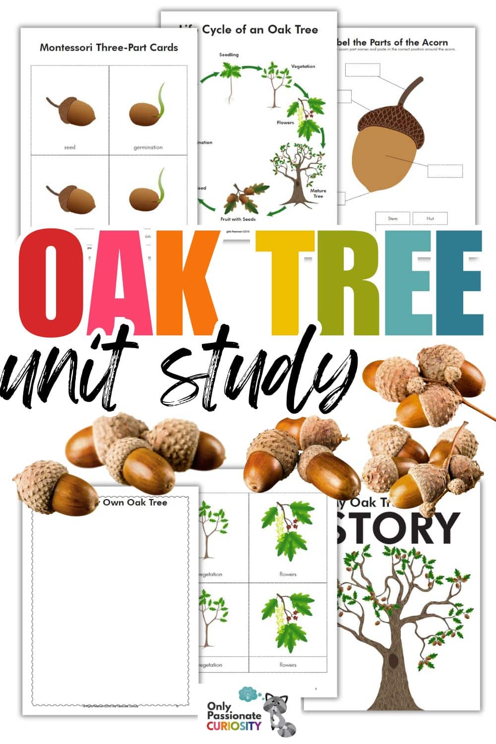 FREE Oak Trees Life Cycle Lesson Printables | Free Homeschool Deals