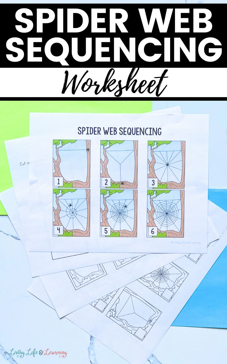 Build a Spider Web Order Sequencing Printable | Free Homeschool Deals