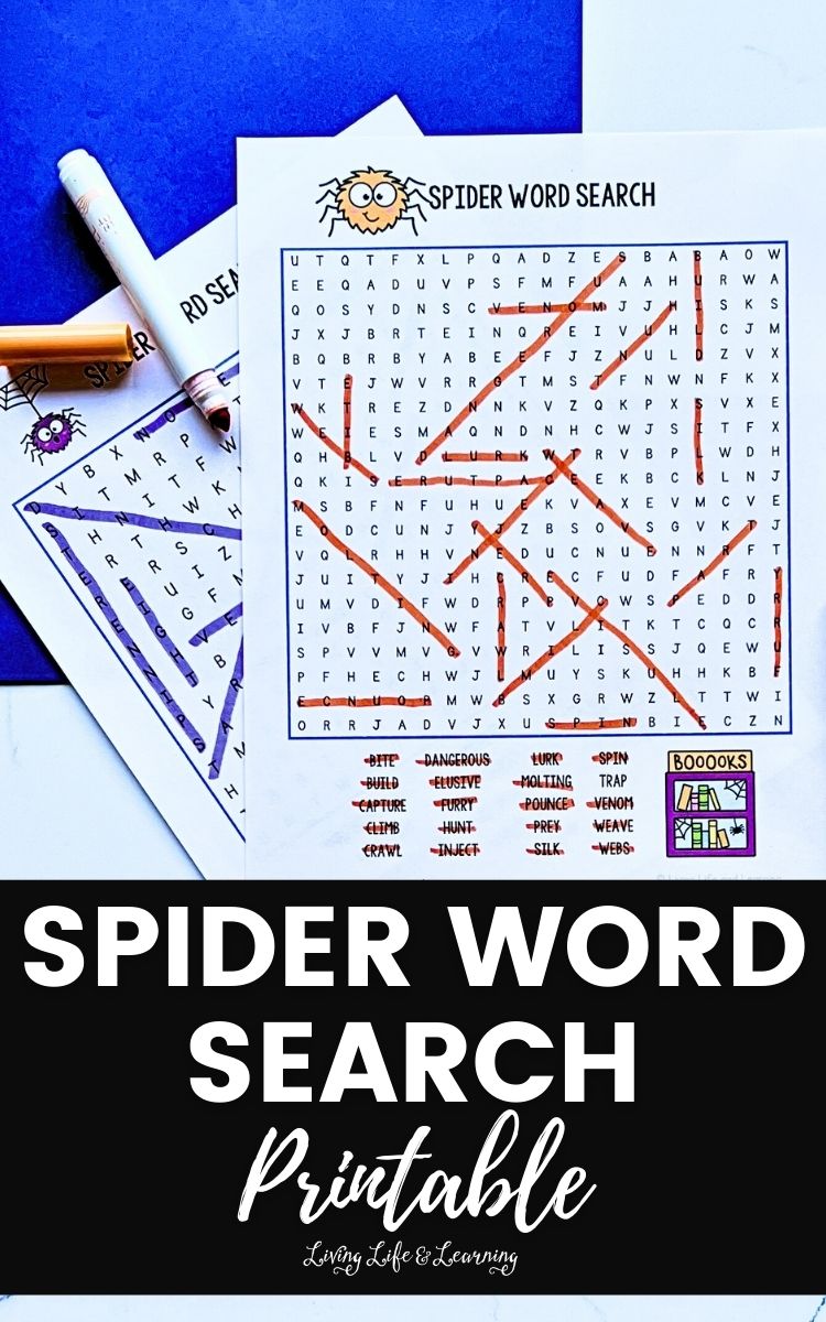 Spider Activity Word Search Worksheet | Free Homeschool Deals
