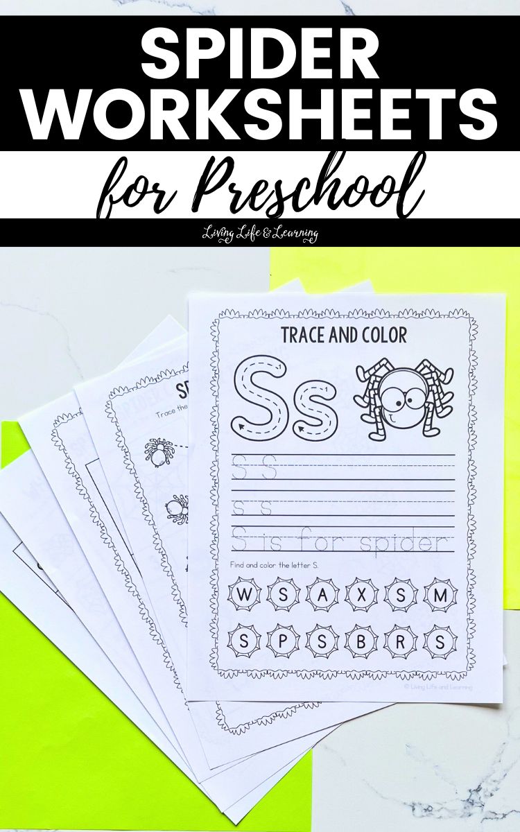 Spider Activity Pack Printables | Free Homeschool Deals