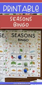 All The Seasons Bingo Game Activity | Free Homeschool Deals