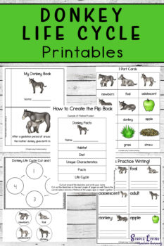 Life Cycle of a Donkey Worksheet Activity Pack | Free Homeschool Deals