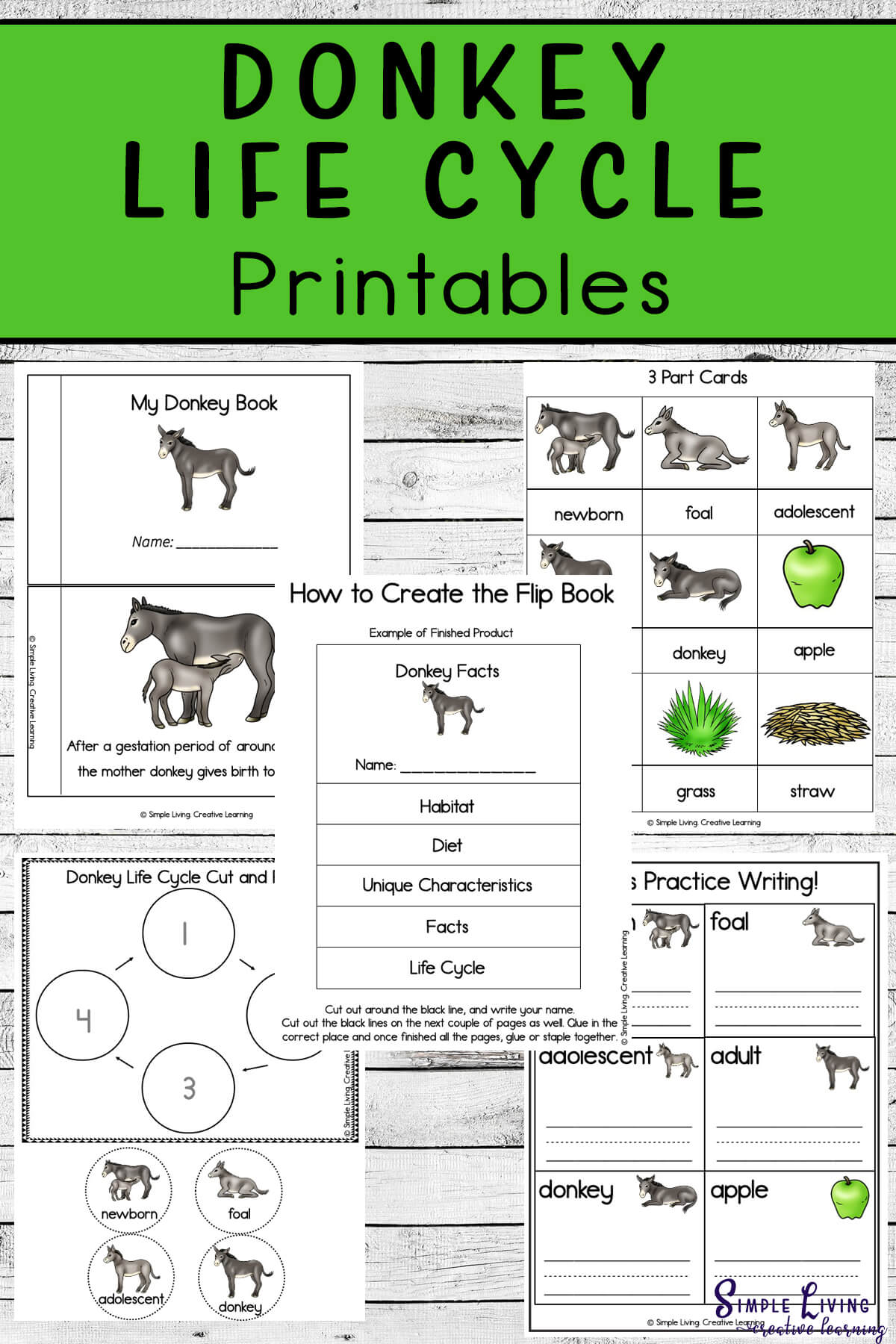 Life Cycle of a Donkey Worksheet Activity Pack | Free Homeschool Deals