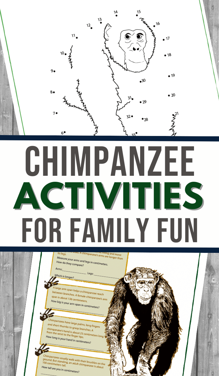 Chimpanzee Fine Motor and Busy Printable Pack | Free Homeschool Deals