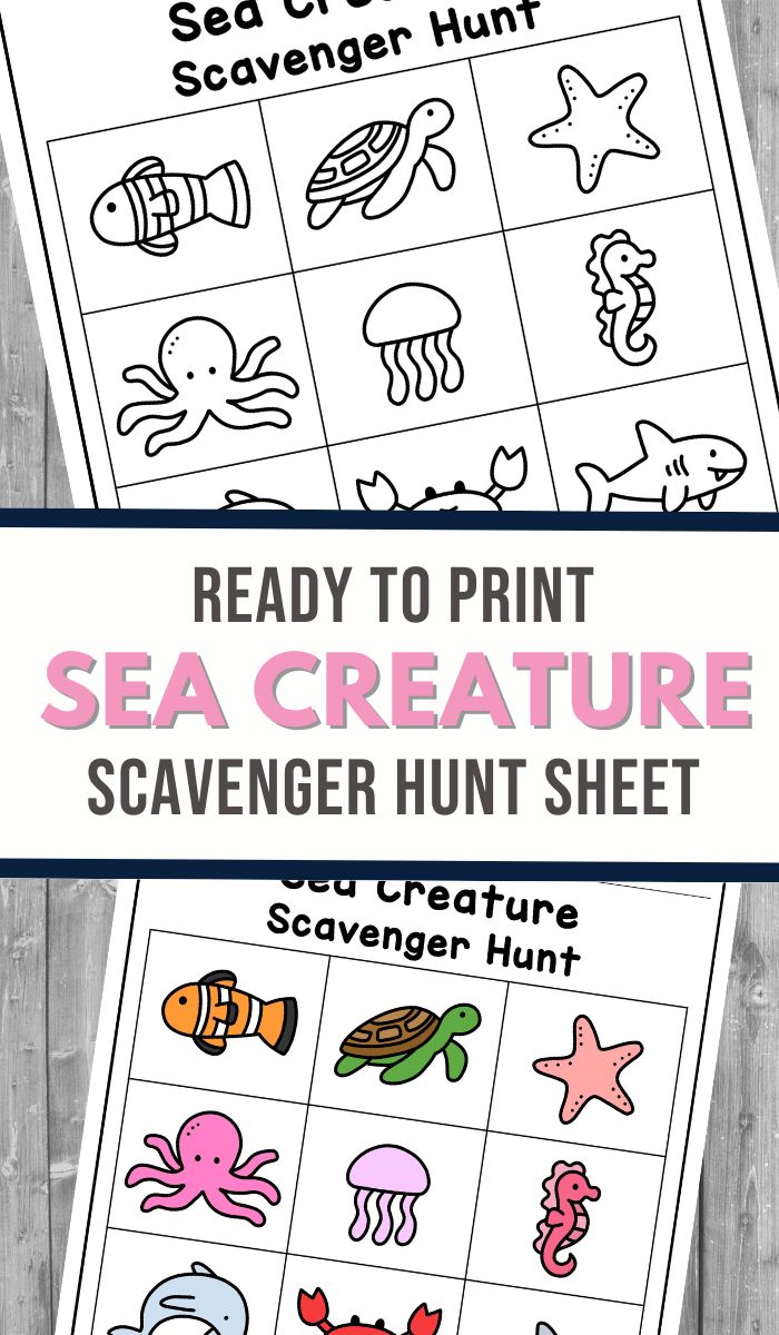 Animals of The Sea Scavenger Hunt Activity | Free Homeschool Deals