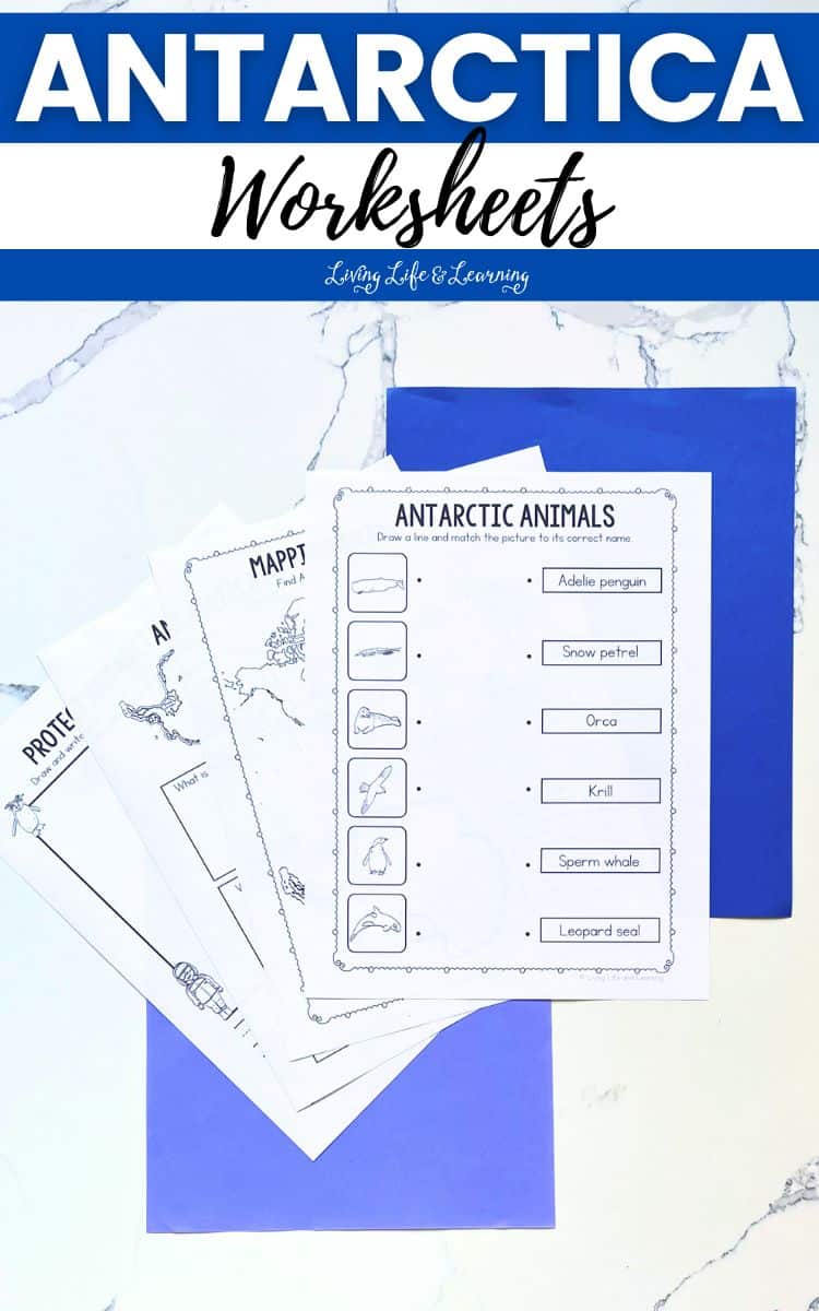Antarctica Continent Printable Activities | Free Homeschool Deals